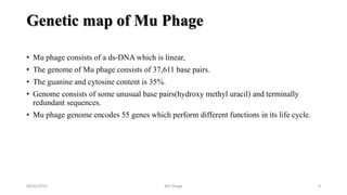 Mu phage | PPTX