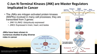University of Missouri - Columbia, POSH Inhibitor-Based Cancer Therapy ...