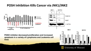 University of Missouri - Columbia, POSH Inhibitor-Based Cancer Therapy ...