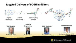 University of Missouri - Columbia, POSH Inhibitor-Based Cancer Therapy ...