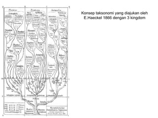 Muqoddimah, Taksonomi Tumbuhan.ppt