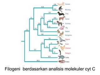 Muqoddimah, Taksonomi Tumbuhan.ppt