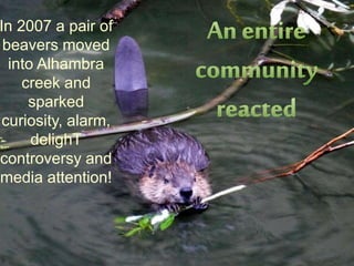 Worth A Dam mural presentation for PRMCC | PPT