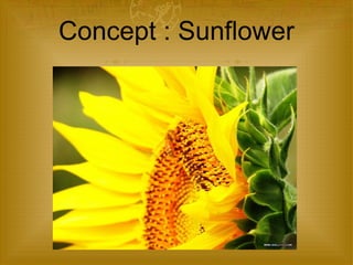 Mural proposal | PPT