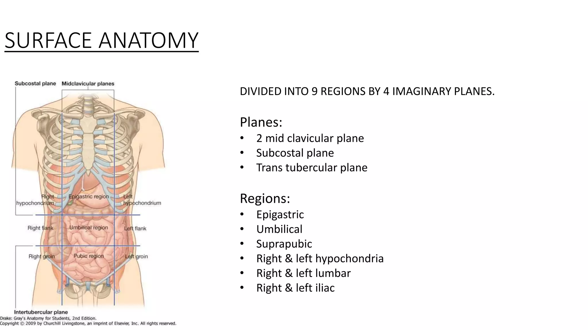 ANTERIOR ABDOMINAL WALL | PPTX