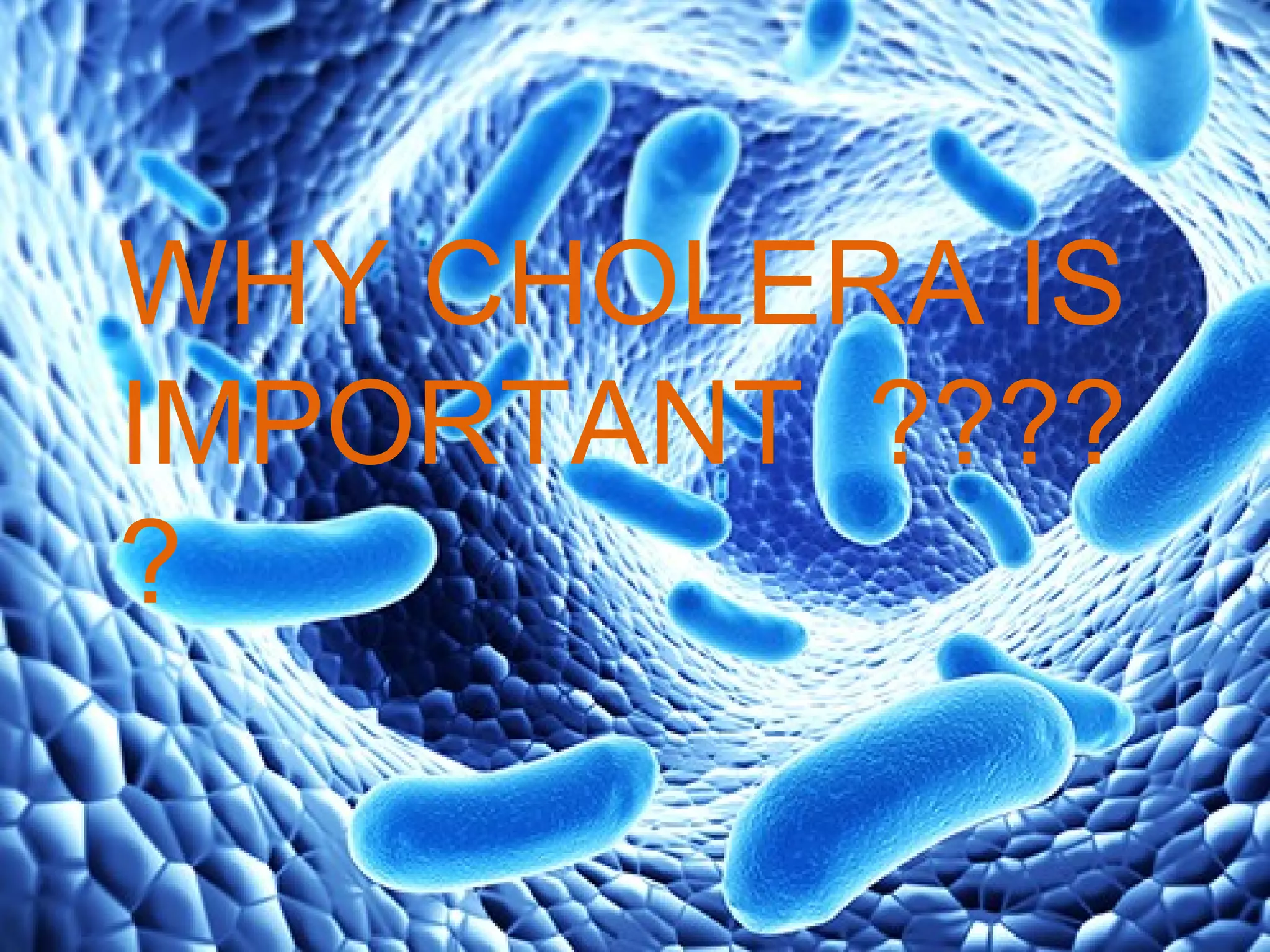 epidemiology and outbreak investigations of cholera | PPT