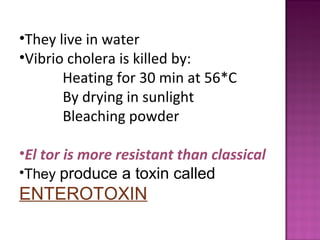 epidemiology and outbreak investigations of cholera | PPT