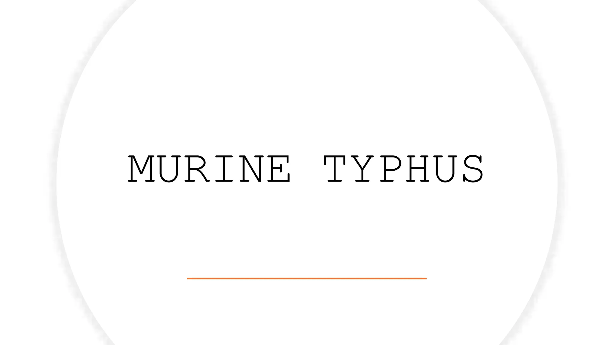Murine Typhus presentationMurine typhus is a flea-borne illness caused ...