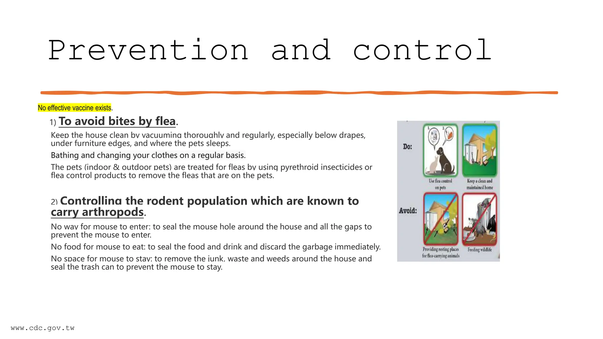 Murine Typhus presentationMurine typhus is a flea-borne illness caused ...