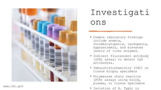 Murine Typhus presentationMurine typhus is a flea-borne illness caused ...