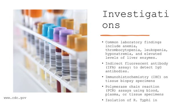 Murine Typhus presentationMurine typhus is a flea-borne illness caused ...