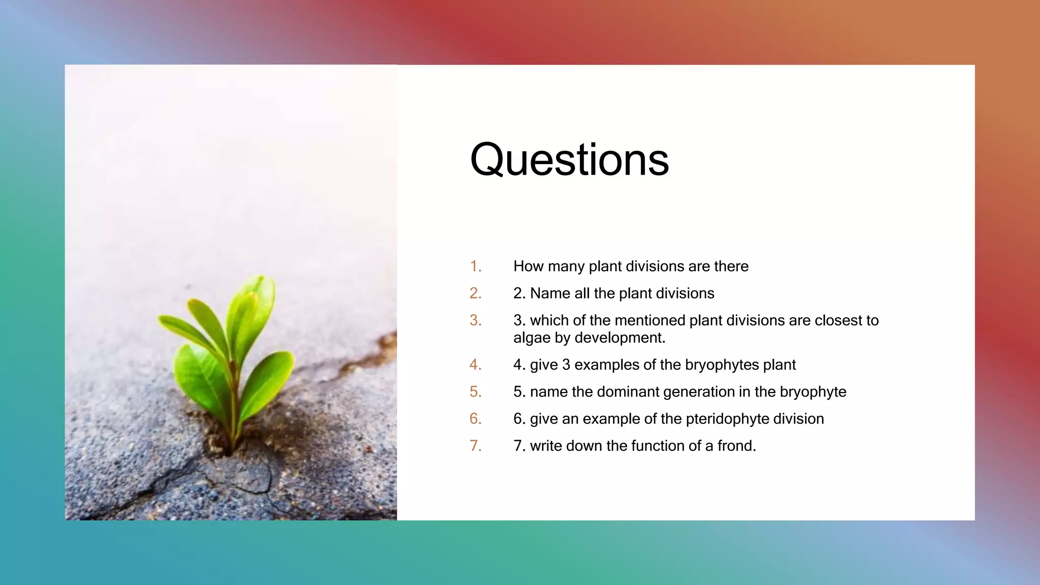 Murivhami RV plant division power point presentation.pptx