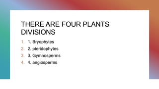 Murivhami RV plant division power point presentation.pptx