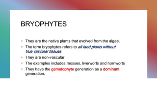 Murivhami RV plant division power point presentation.pptx
