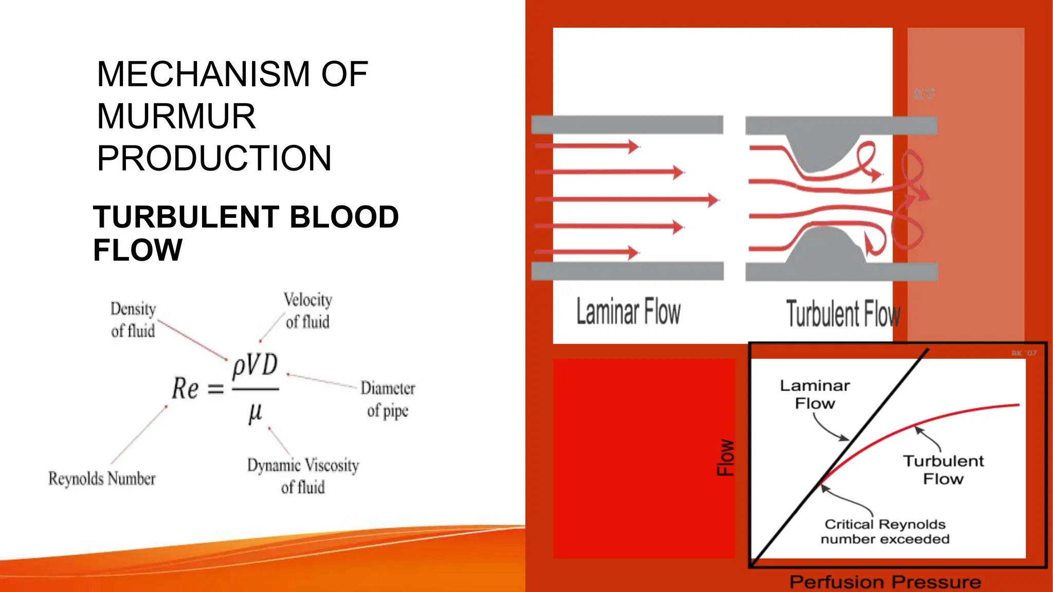 MURMUR Cardio vascular system ready.pptx