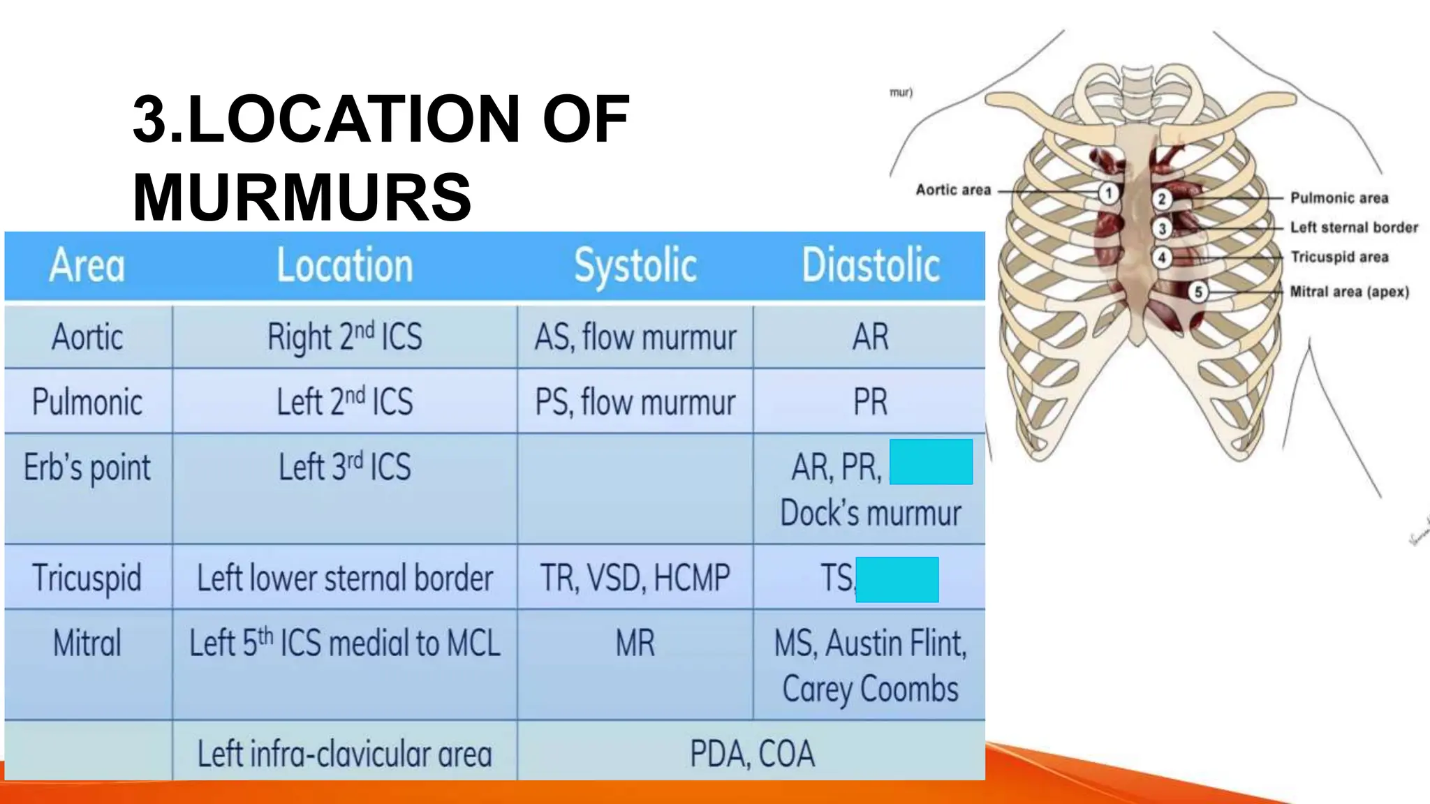 MURMUR Cardio vascular system ready.pptx