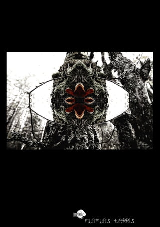 Murmurs | PDF