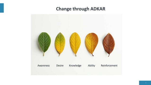 Embedding expected standards for Learning, Teaching and Assessment ...