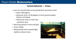 An Overview of Work Safey and Health Issues on Dairy Farms | PPTX