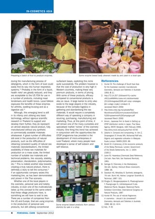 The Cosmetics Cottage Industry in Thailand | PDF