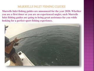 Murrells inlet fishing guides | PPTX | Fishing Sports | Sports