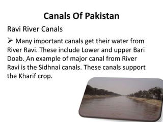 Canal system of Pakistan | PPTX