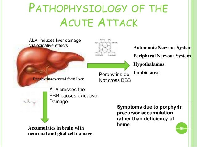 ACUTE INTERMITTENT PORPHYRIA