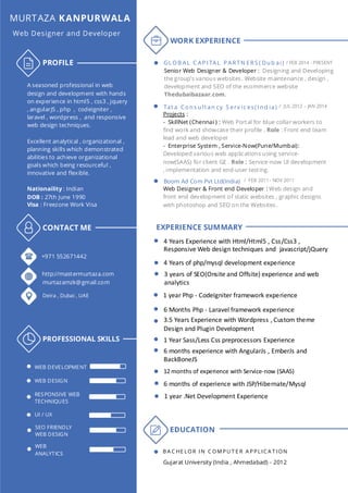 Murtaza resume web_developer | PDF