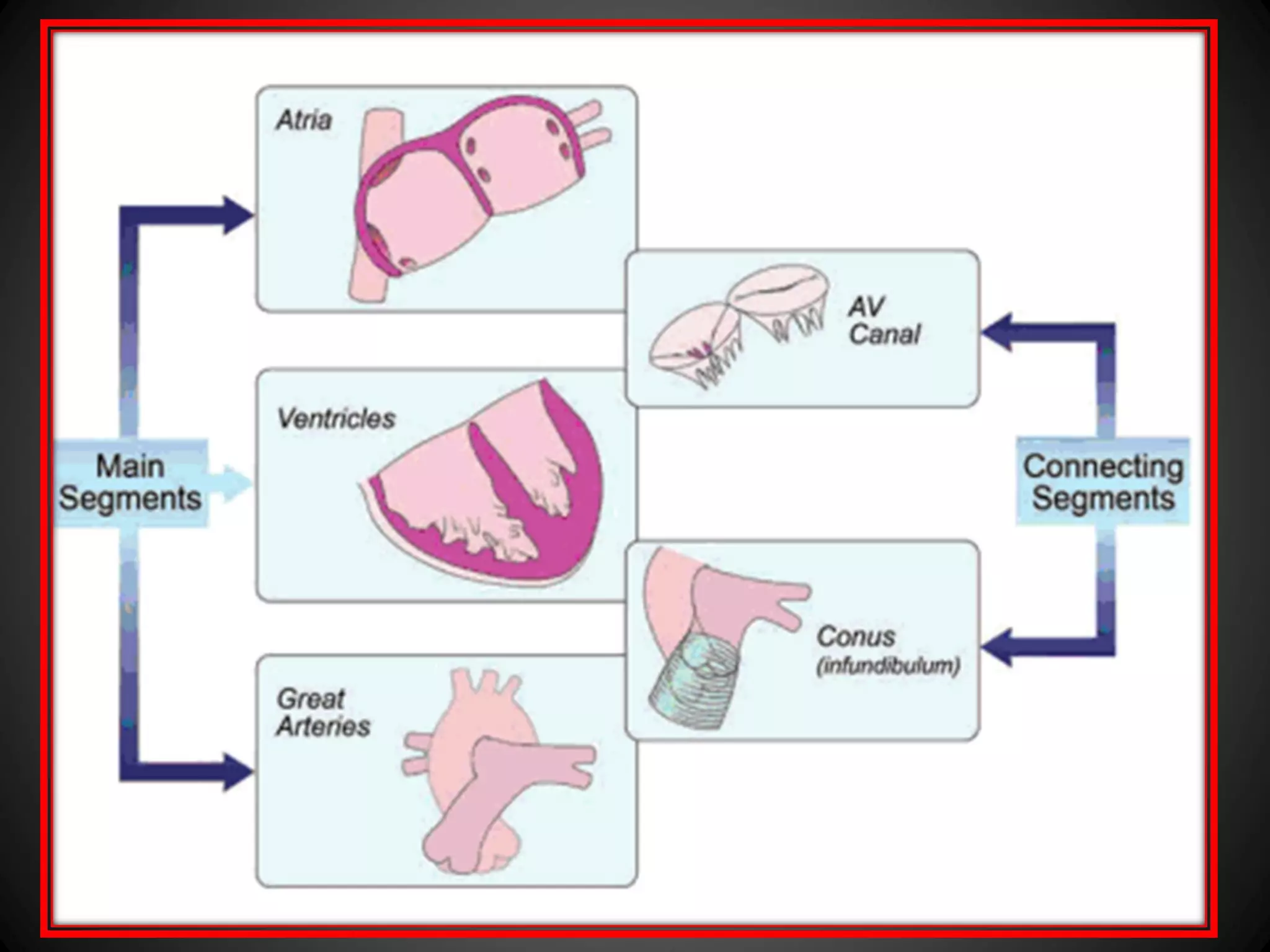 SEGMENTAL ANALYSIS OF CONGENITAL HEART DISEASE | PPT