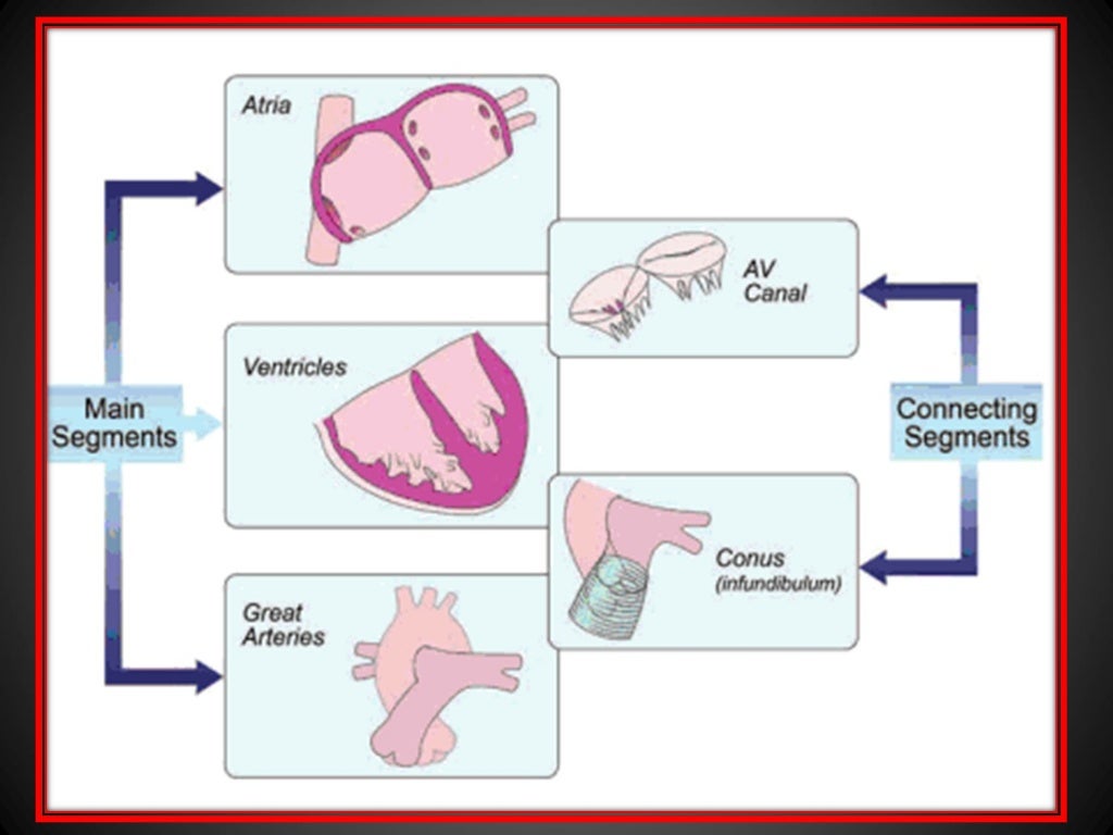 SEGMENTAL ANALYSIS OF CONGENITAL HEART DISEASE