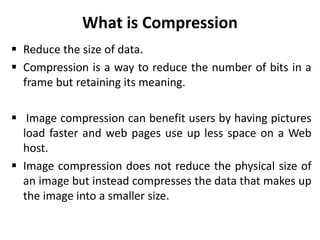 image basics and image compression | PPT