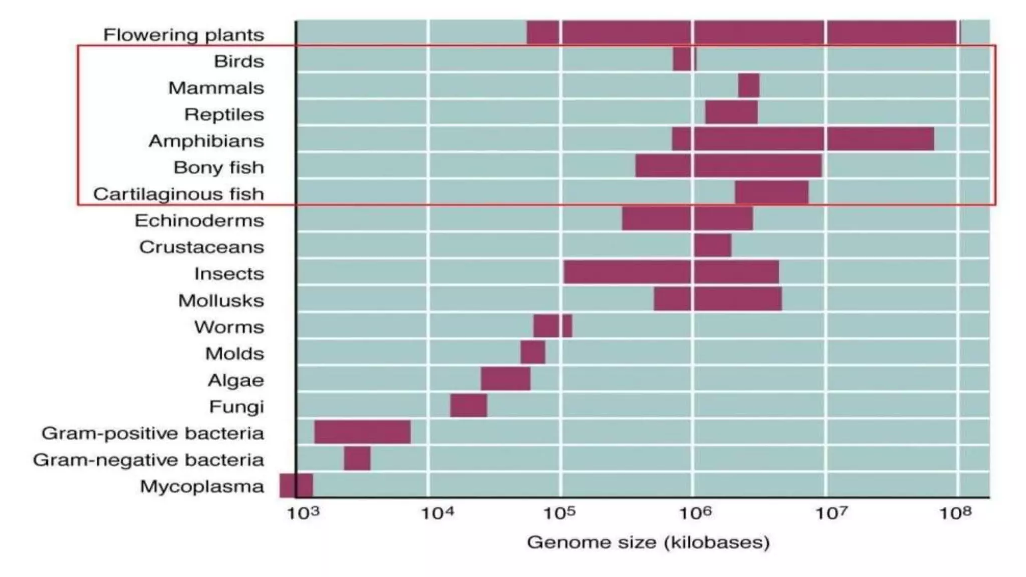 C VALUE, C VALUE PARADOX , COT CURVE ANALYSIS.pptx