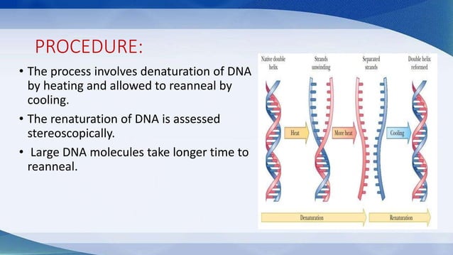 C VALUE, C VALUE PARADOX , COT CURVE ANALYSIS.pptx | Biological ...