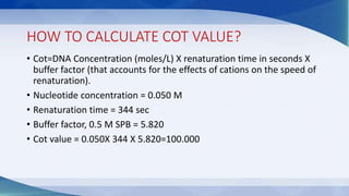 C VALUE, C VALUE PARADOX , COT CURVE ANALYSIS.pptx