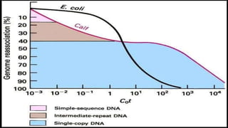C VALUE, C VALUE PARADOX , COT CURVE ANALYSIS.pptx