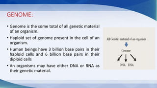 C VALUE, C VALUE PARADOX , COT CURVE ANALYSIS.pptx