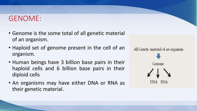 C VALUE, C VALUE PARADOX , COT CURVE ANALYSIS.pptx | Biological ...