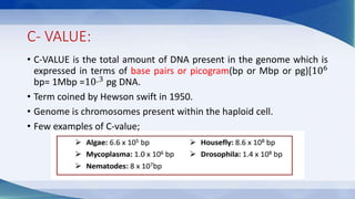 C VALUE, C VALUE PARADOX , COT CURVE ANALYSIS.pptx