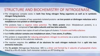 MURUGAVENI B NITROGEN FIXATION & MECHANISM.pptx