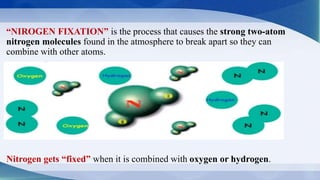 MURUGAVENI B NITROGEN FIXATION & MECHANISM.pptx