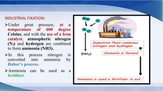 MURUGAVENI B NITROGEN FIXATION & MECHANISM.pptx