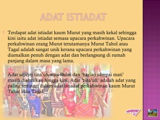 Murut | PPT