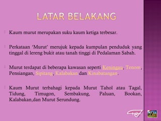 Murut | PPT