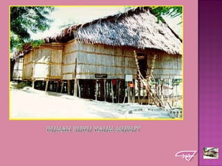 Murut | PPT