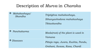 Contraversy of the moorva with Available Sources of Murva | PPTX