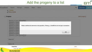 Musa base phenotyping workflow demo | PPT