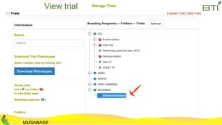 Musa base phenotyping workflow demo | PPT