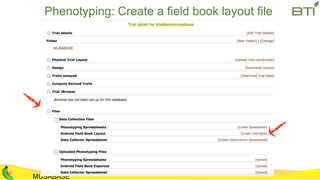 Musa base phenotyping workflow demo | PPT