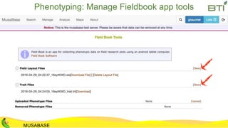 Musa base phenotyping workflow demo | PPT