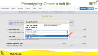 Musa base phenotyping workflow demo | PPT